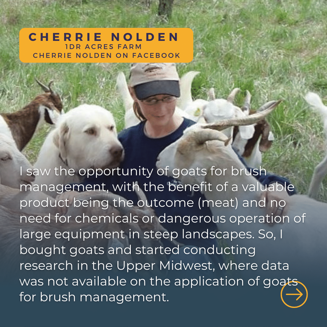 Goatober Farmer Profile: Cherrie Nolden - Grazing with Leslie