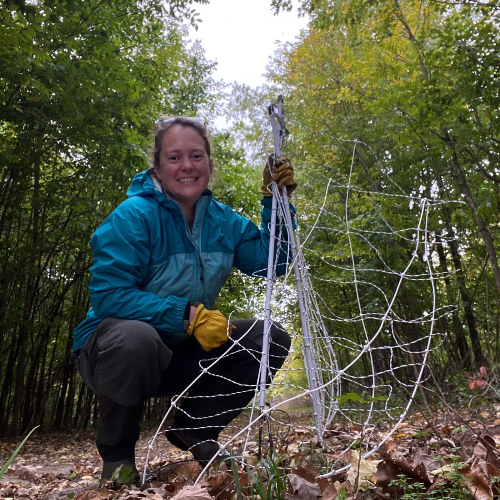 All about electric goat netting - Grazing with Leslie