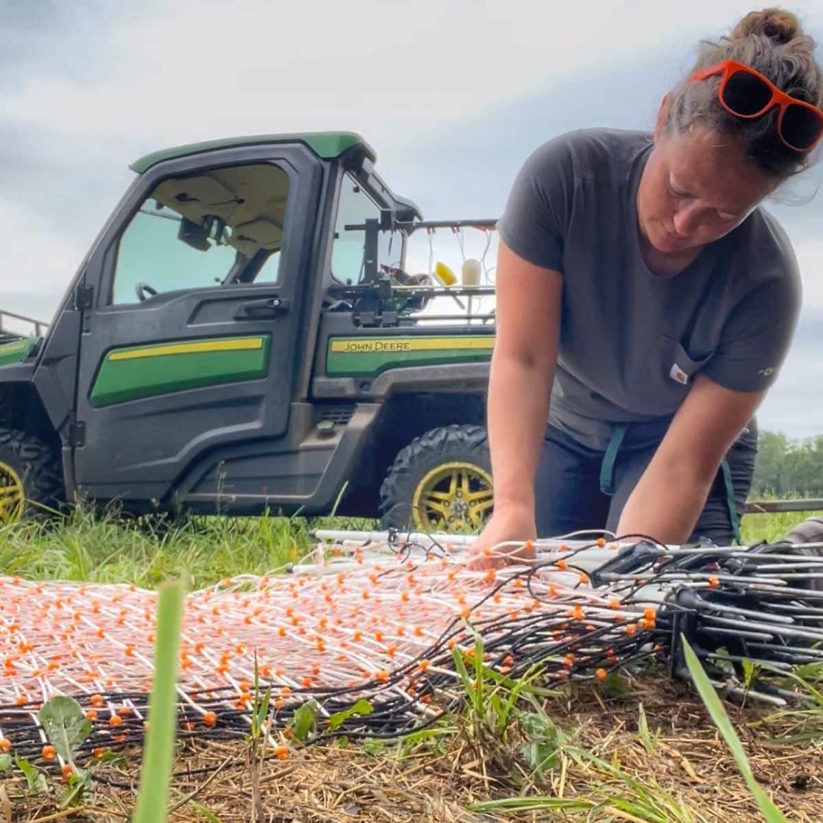 All about electric fence netting for goats - Grazing with Leslie