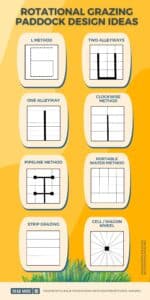 Rotational grazing: A practical guide - Grazing with Leslie