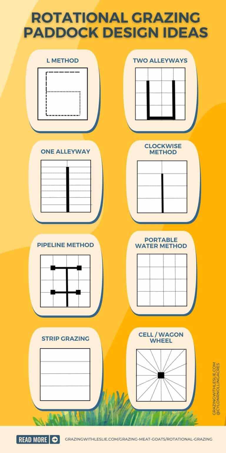 Rotational grazing: A practical guide - Grazing with Leslie