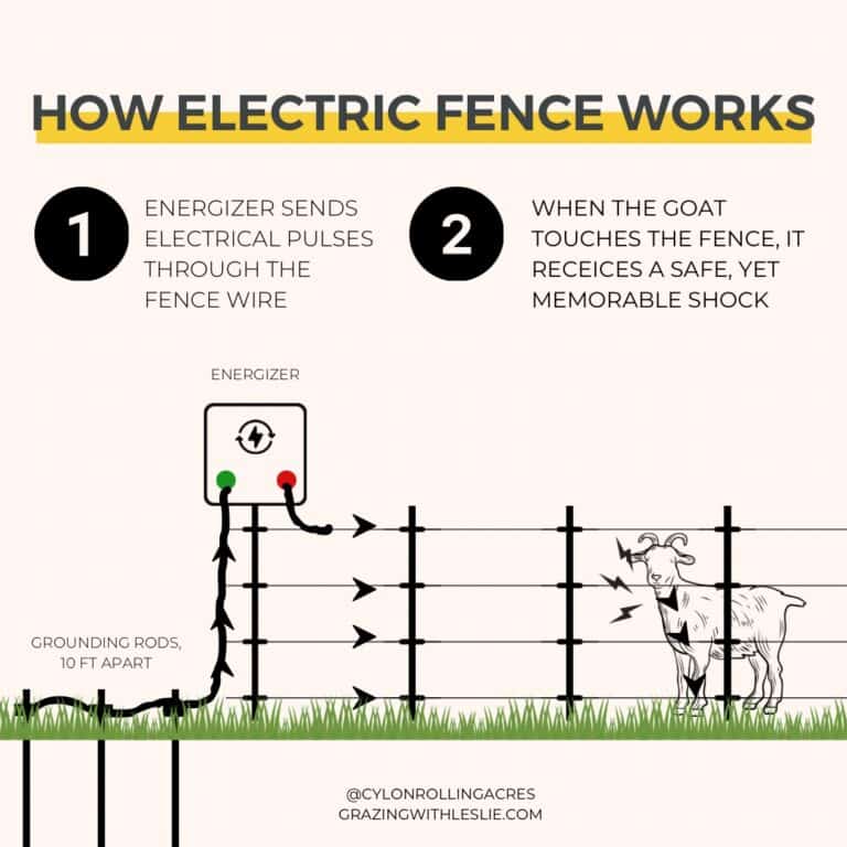 Electric fence chargers: How it works, solar option, setup + grounding - Grazing with Leslie