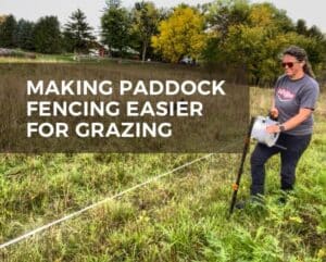 Making paddock fencing set up easier for grazing - Grazing with Leslie