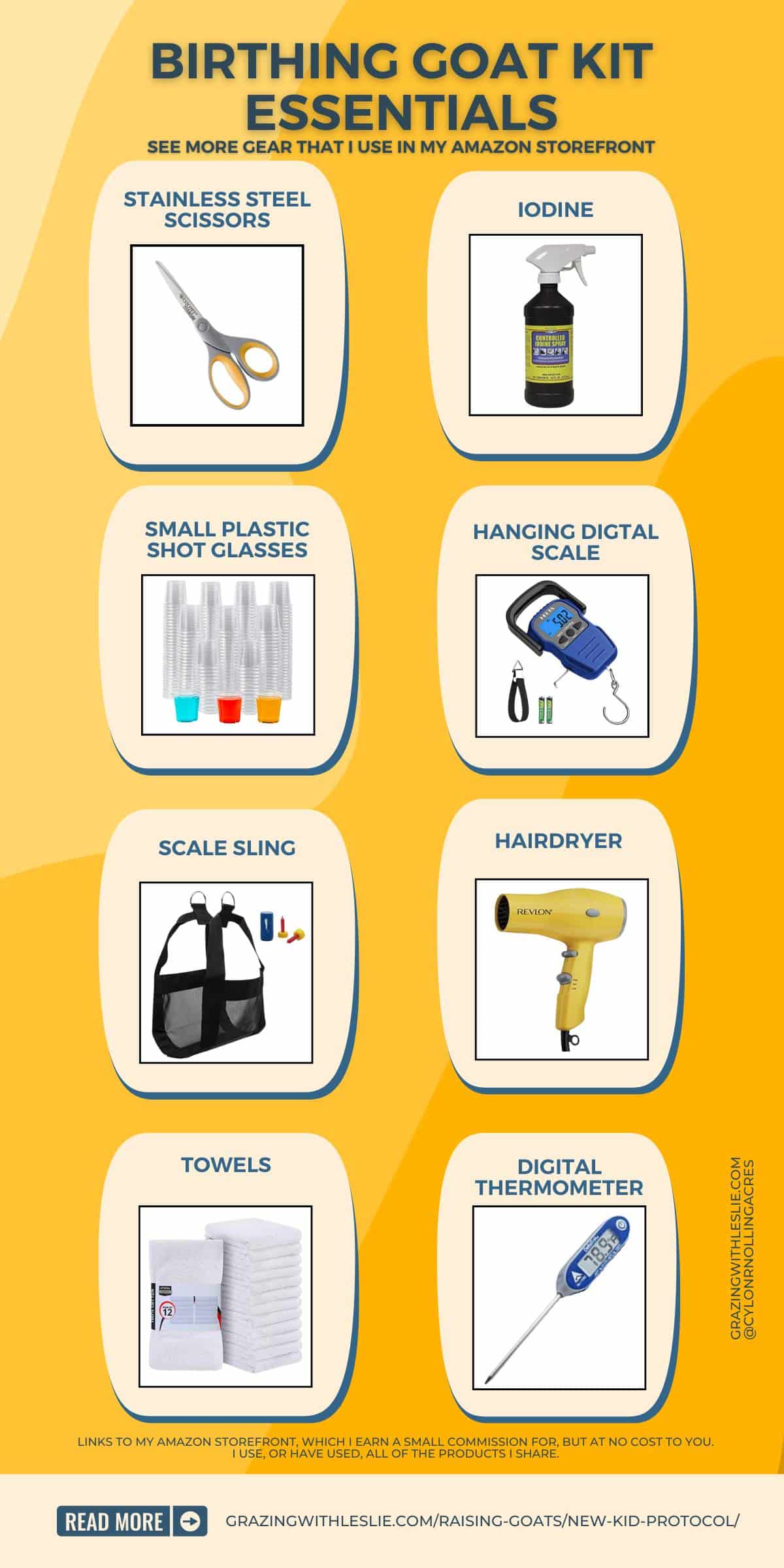 Newborn goat care after birthing - Grazing with Leslie