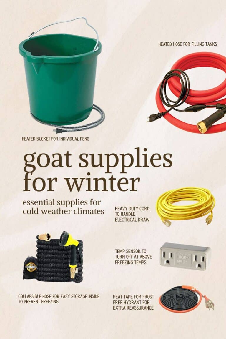 Supplies for raising goats in the winter - Grazing with Leslie