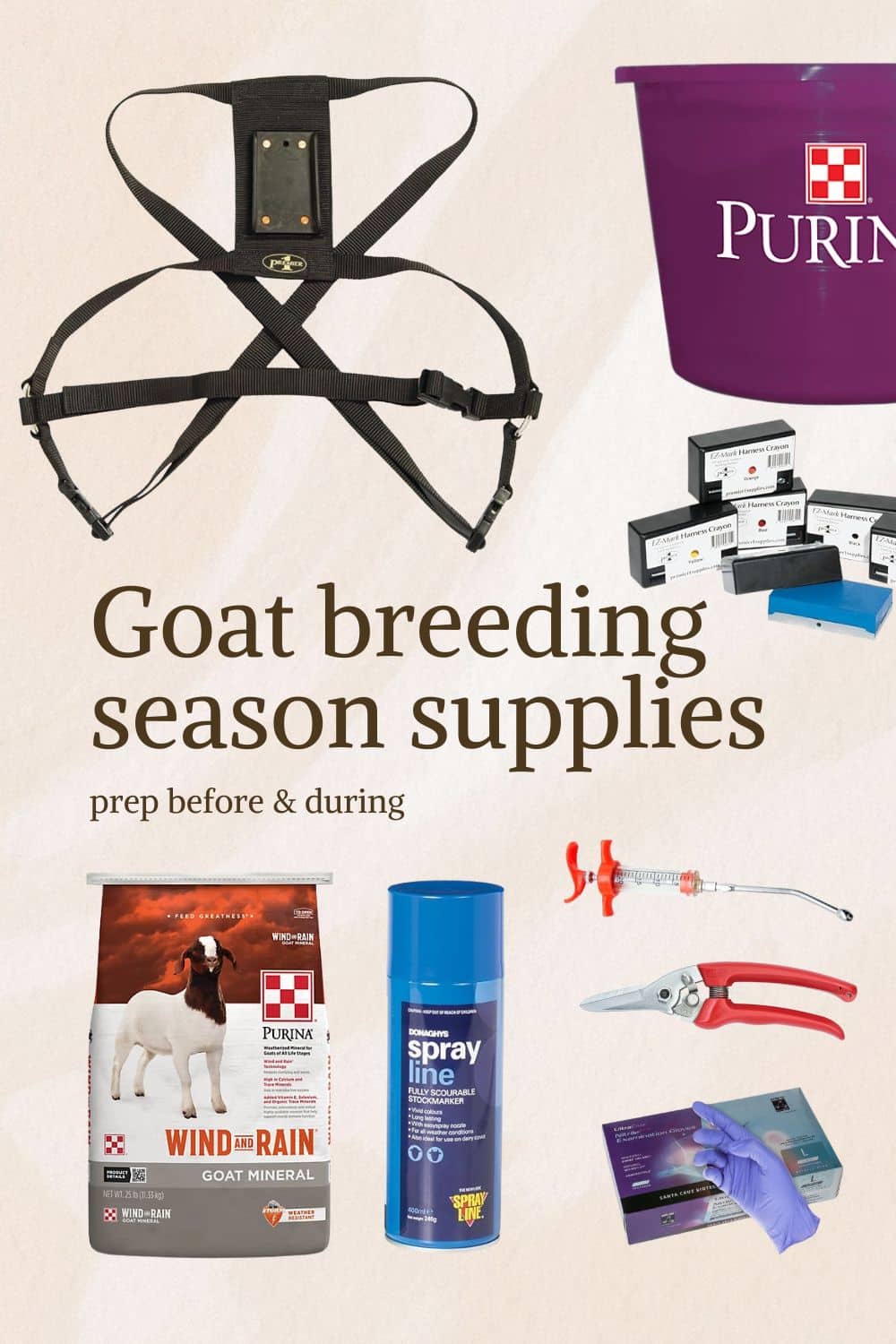 Breeding goats: An overview and how to prepare your herd - Grazing with ...
